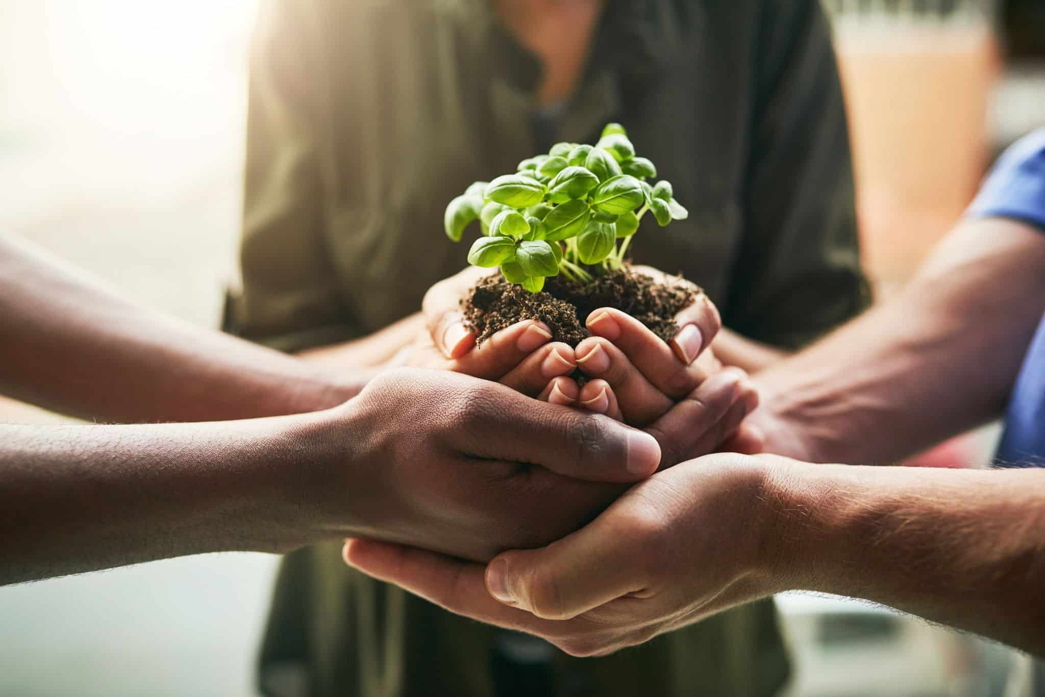 Team Building RSE : 5 activités nature engagées BSA Event